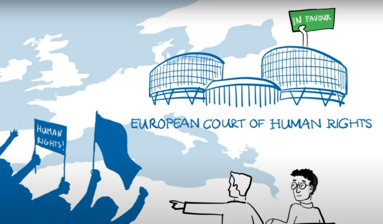 When Winning isn't Enough: Civil Society and the European Court of ...